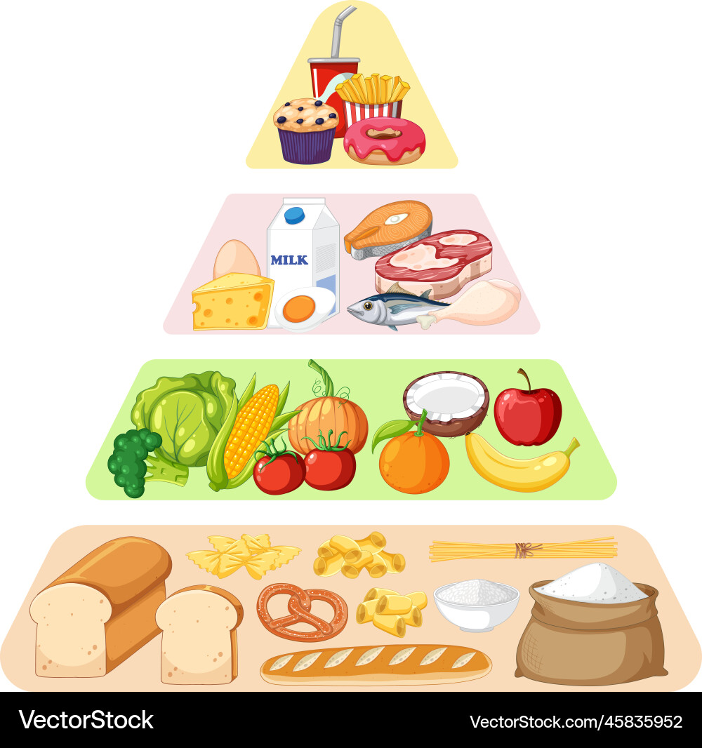 Food nutrition groups pyramid Royalty Free Vector Image