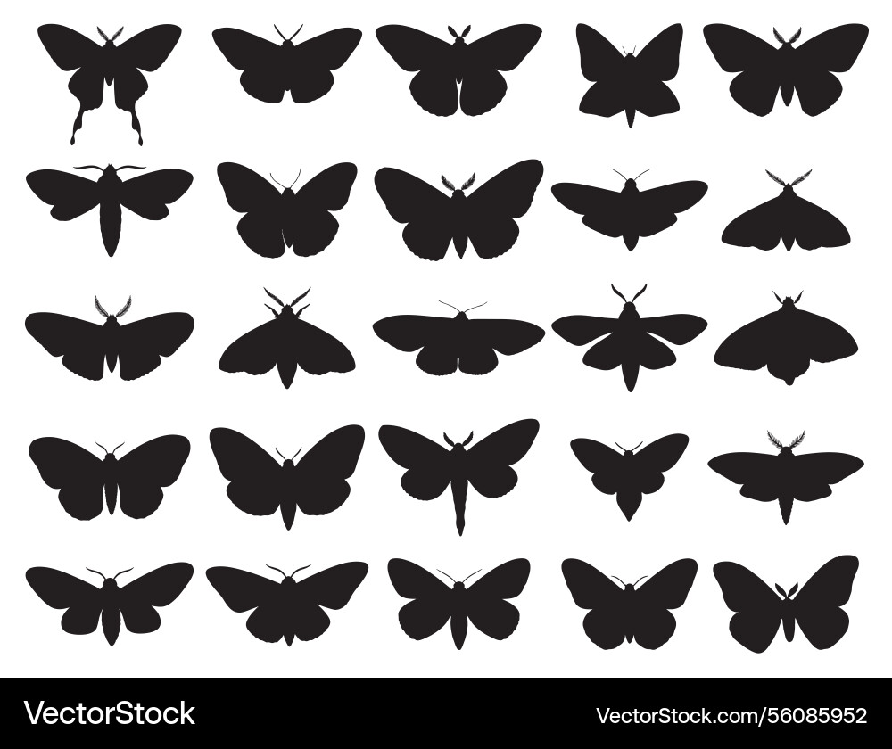 Moth Silhouettes - Dark Wings Royalty Free Vector Image