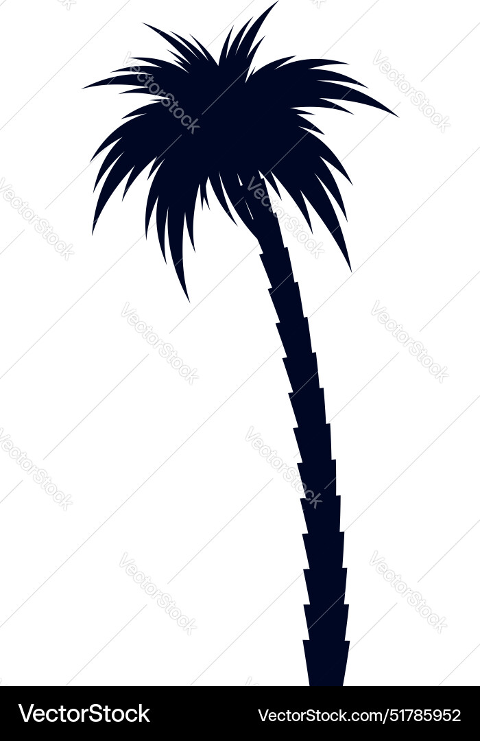 Tropical palm tree Royalty Free Vector Image - VectorStock