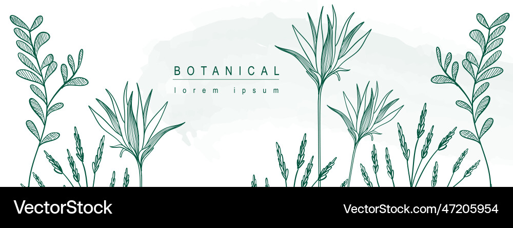 Botanical abstract background with floral line art