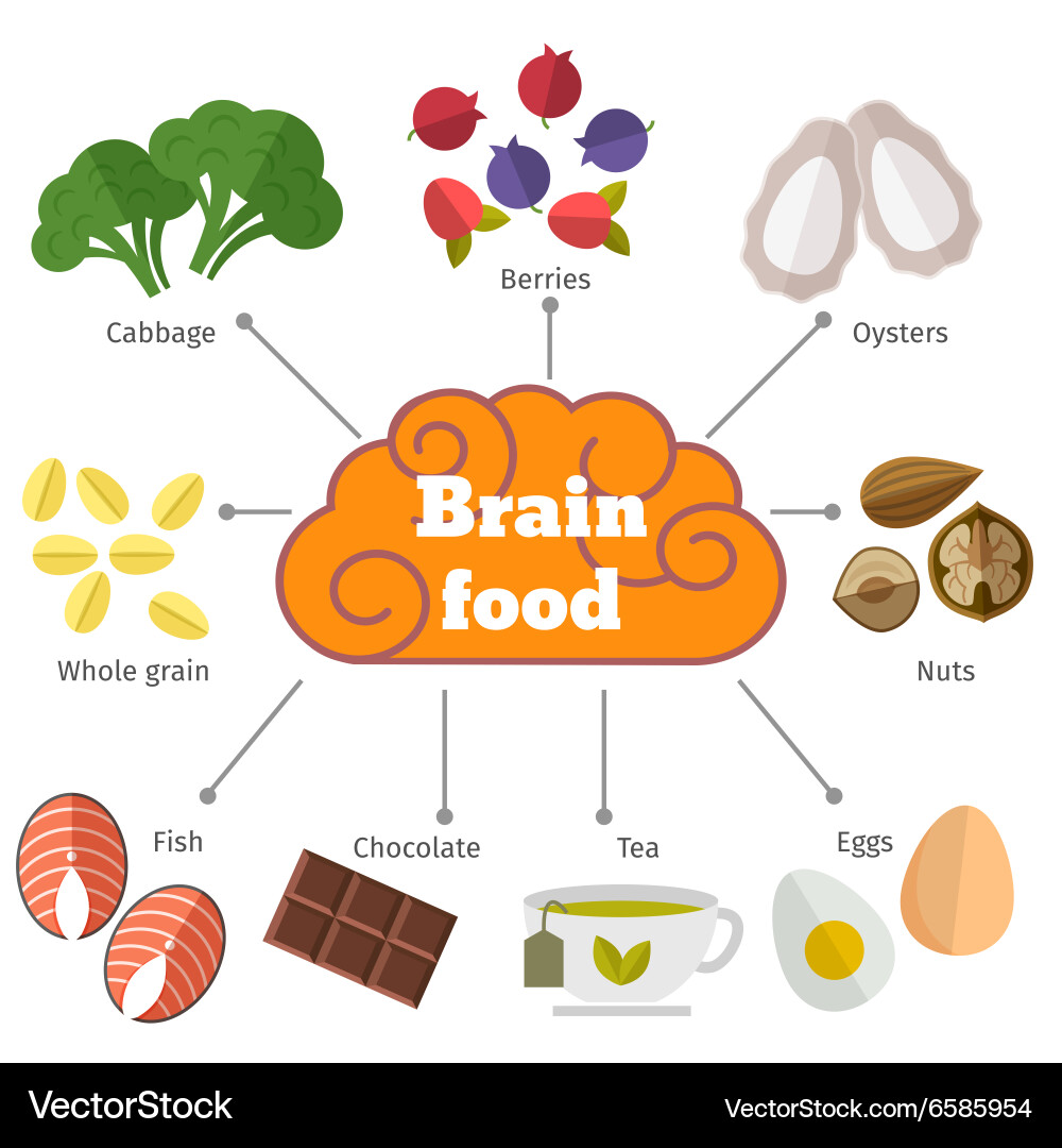 Brain food flat infographics Royalty Free Vector Image