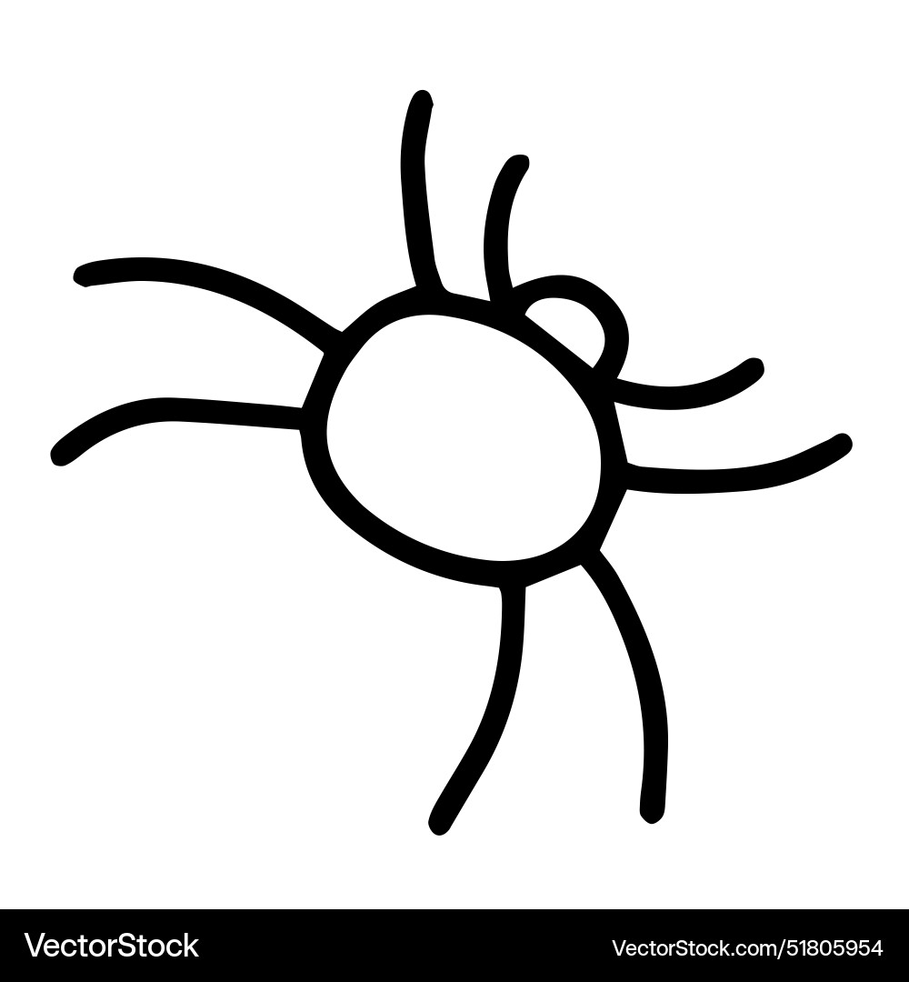 Doodle spider Royalty Free Vector Image - VectorStock