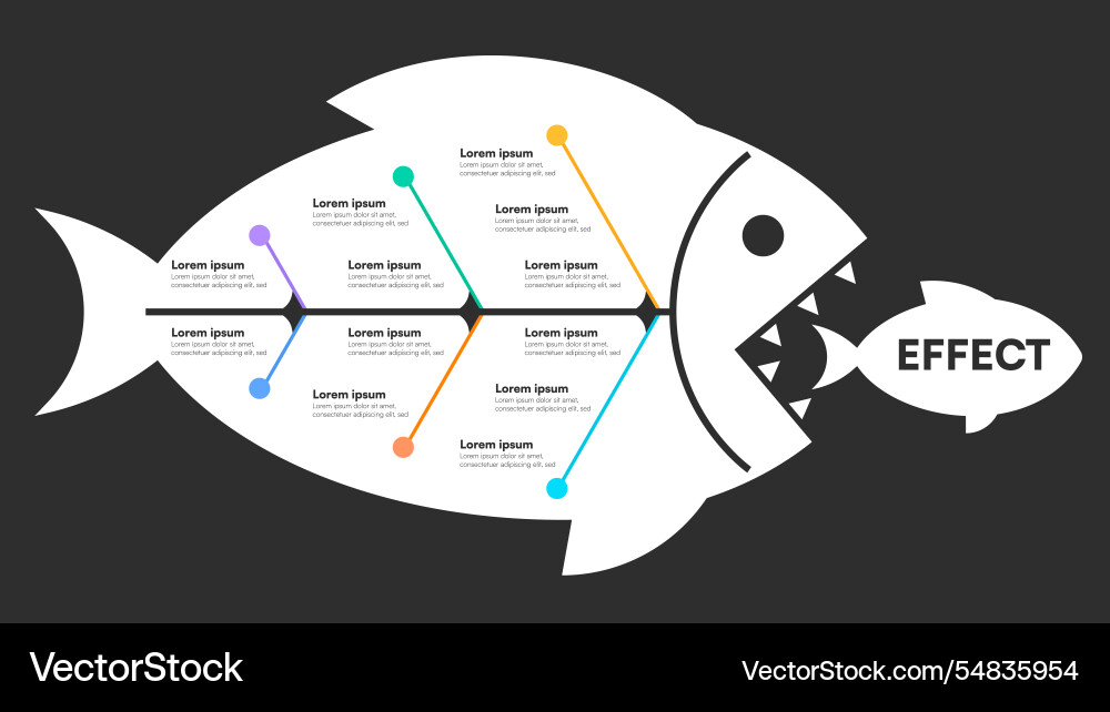 Minimalist fishbone diagram infographic for cause Vector Image