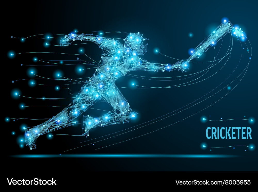Cricket player poly Royalty Free Vector Image - VectorStock