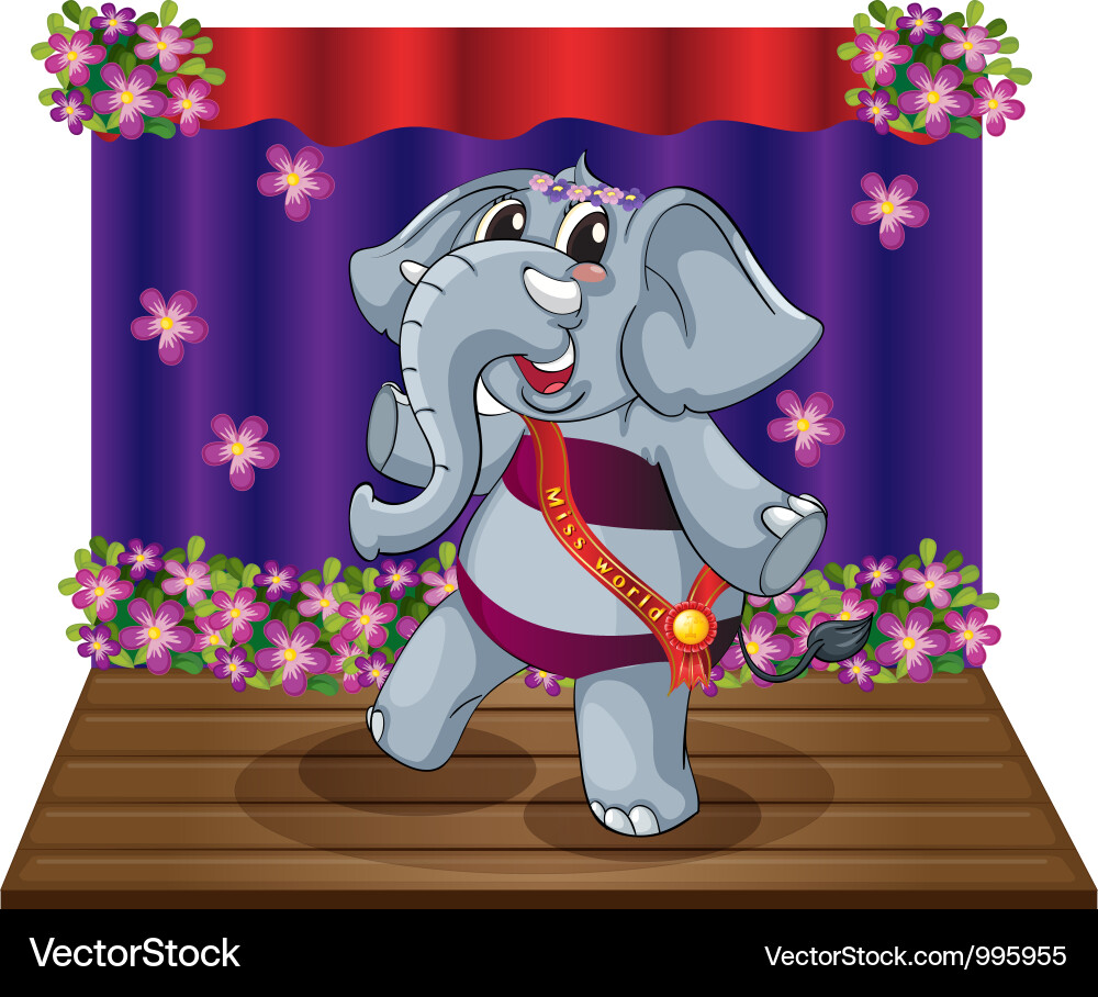 Elephant on stage Royalty Free Vector Image - VectorStock