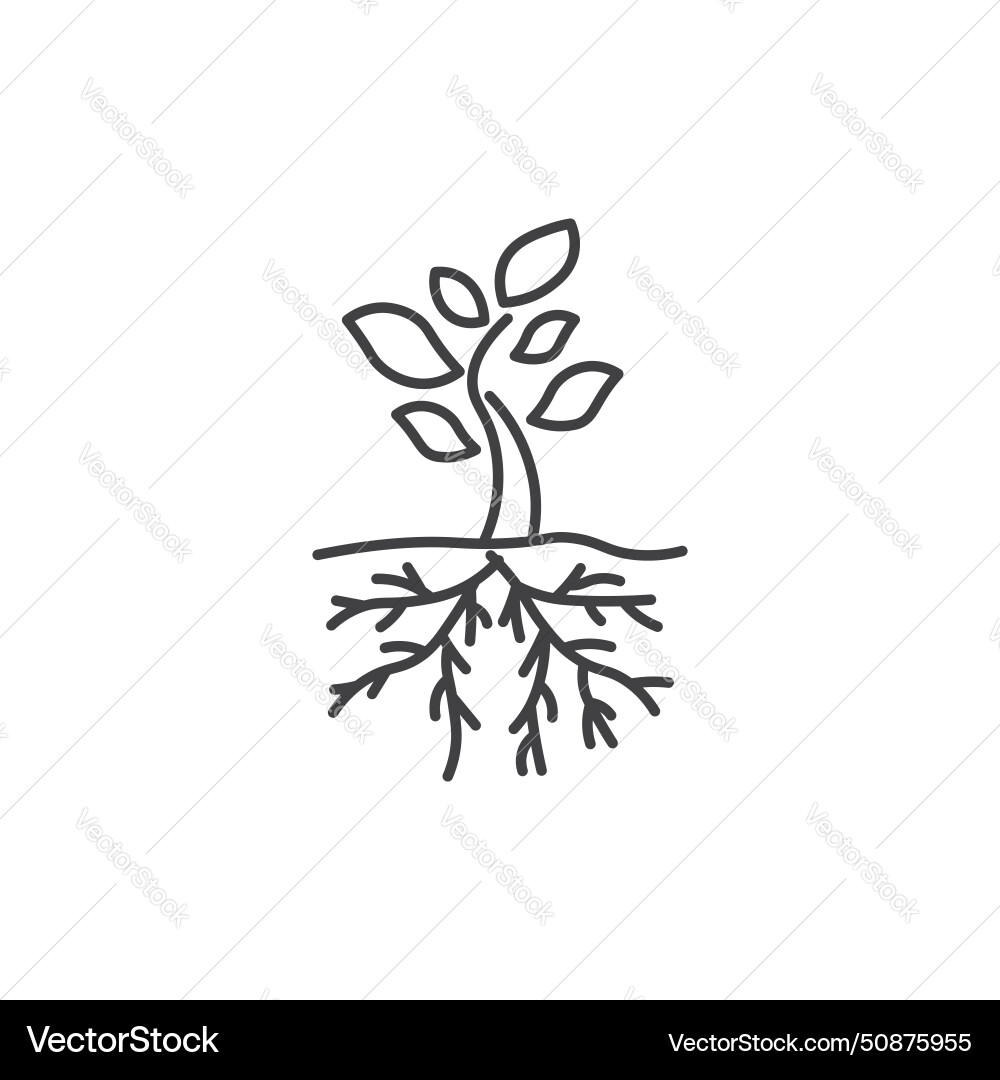 Tree with roots and leaves icon set root leaf and Vector Image