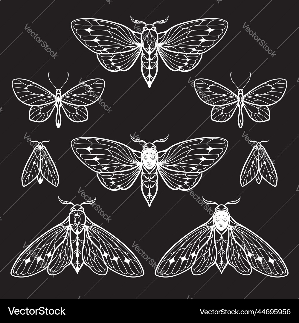 Gothic Moth & Butterfly Line Art Royalty Free Vector