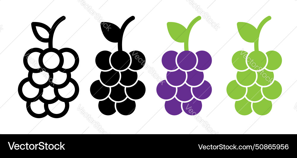 Grape icon set wine vineyard berry cluster symbol Vector Image