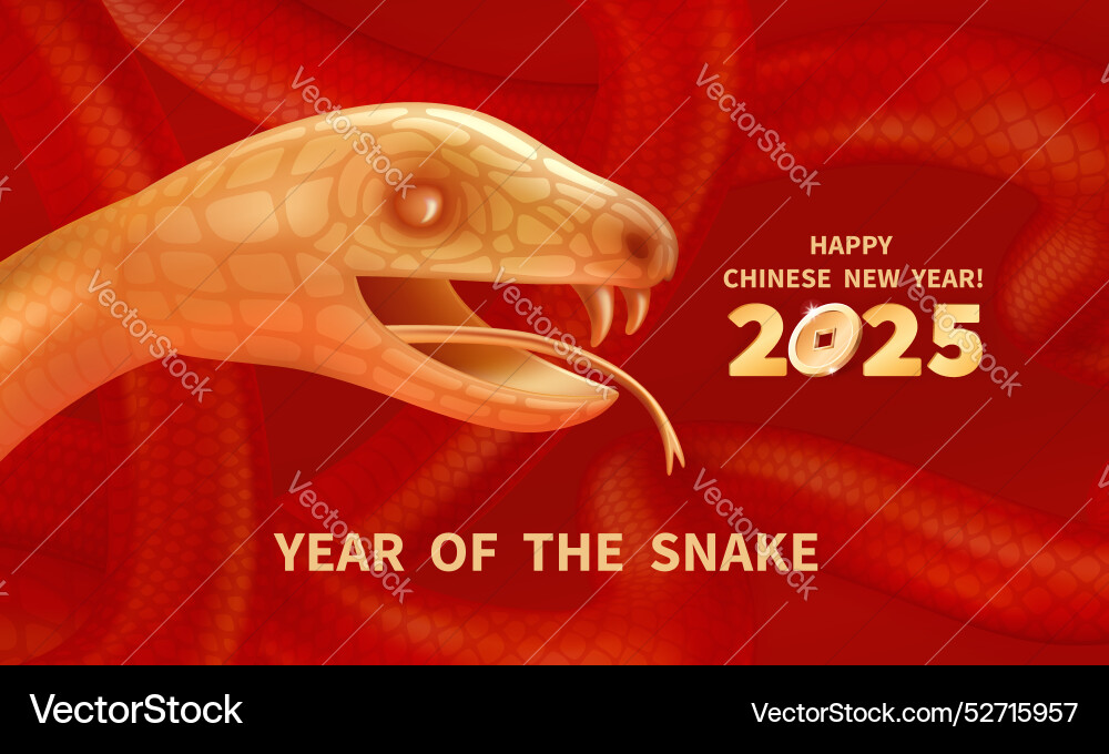 2025 year of the snake 23 Royalty Free Vector Image