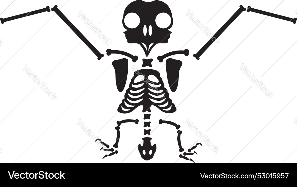 Decayed flying owl dried skeleton bones Royalty Free Vector