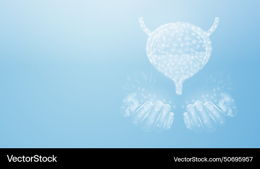 Two human hands are holds bladder medical Vector Image