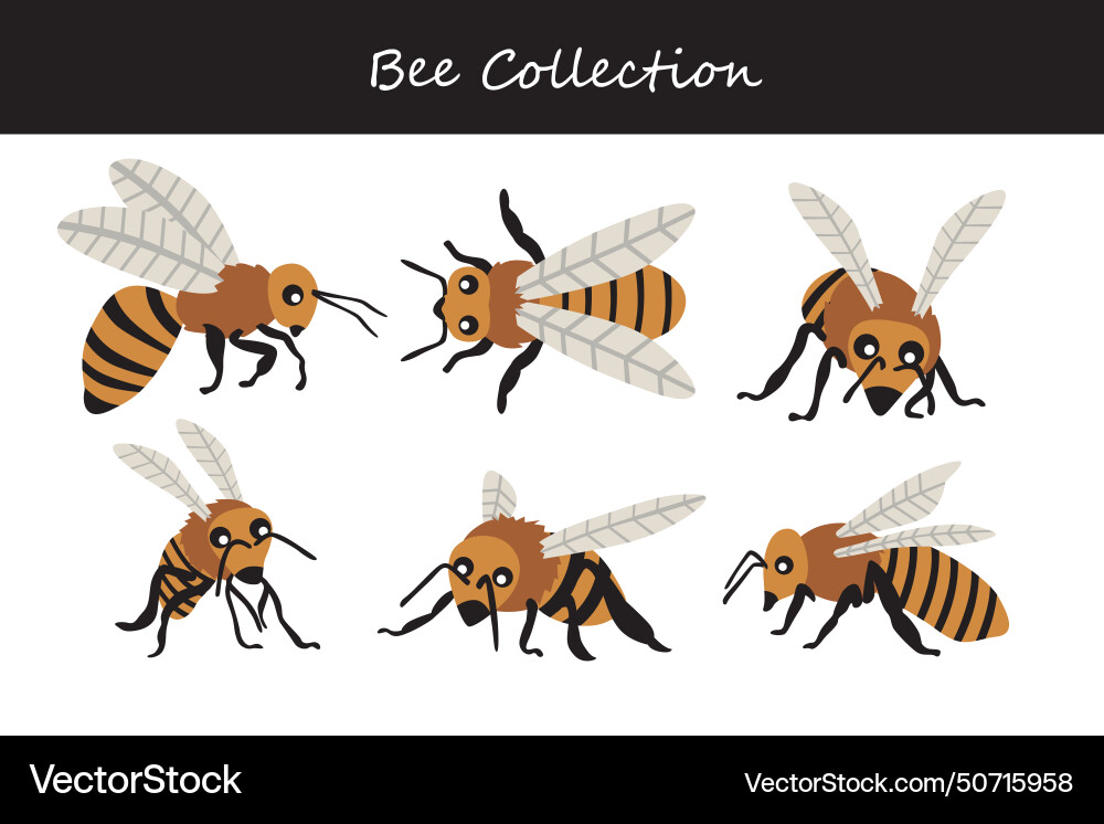 Bee set Royalty Free Vector Image - VectorStock