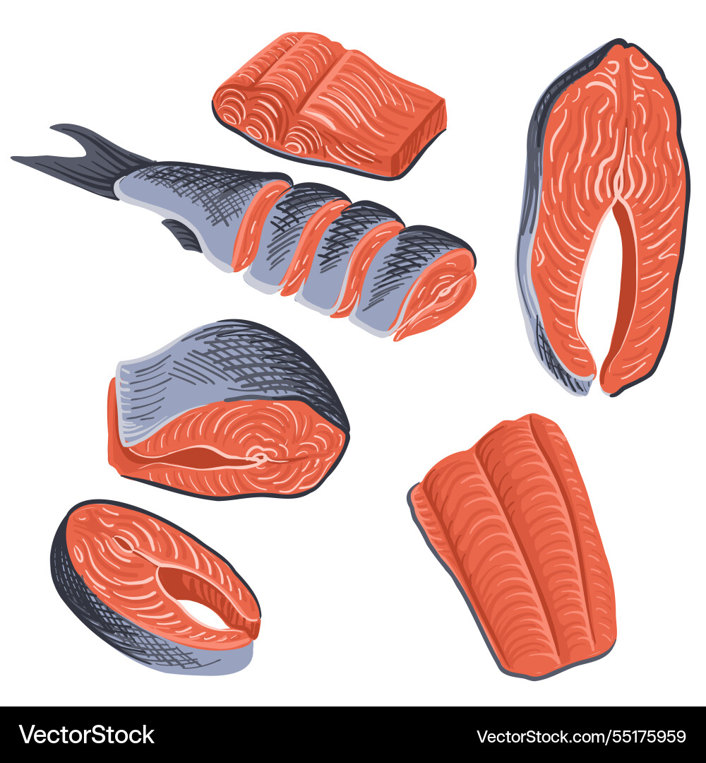 fish meat drawing