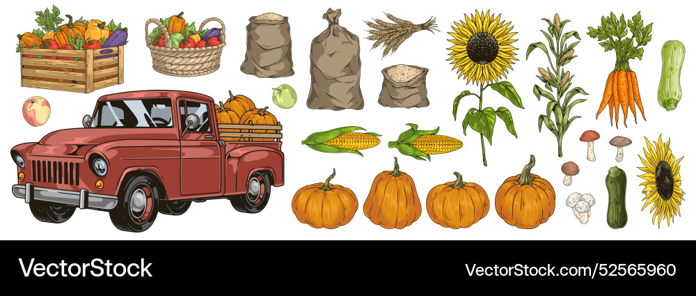 Autumn harvest set emblems colorful – Royalty-Free Vector | VectorStock