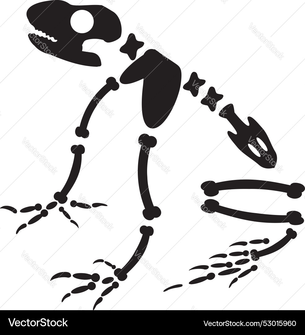 Decayed big toad frog dried skeleton bones Vector Image