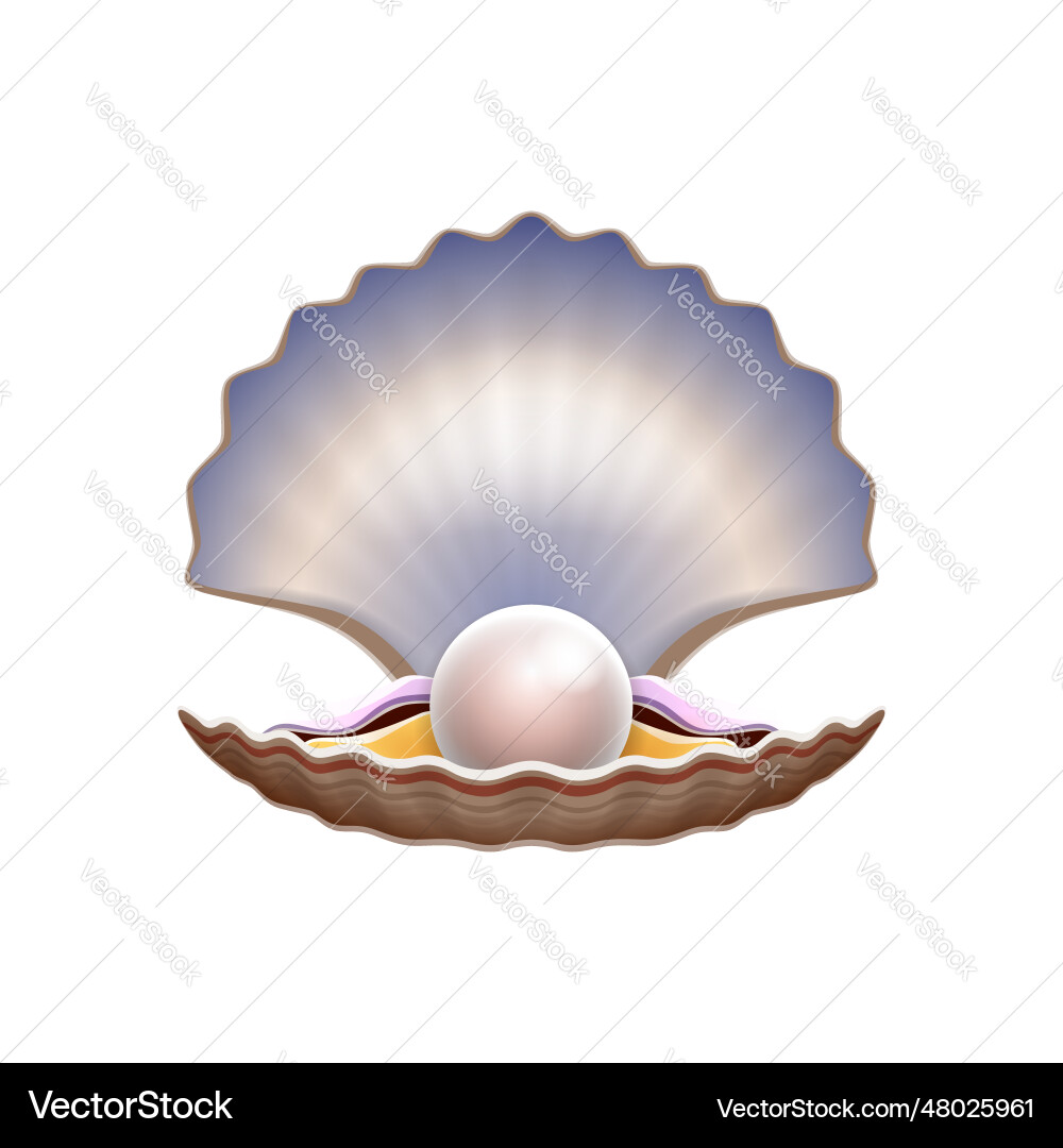 Cartoon Scallop Shell with Pearl Royalty Free Vector Image