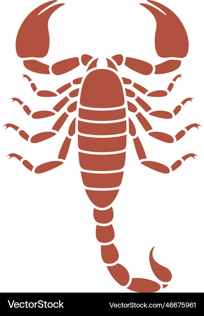 Scorpion Royalty Free Vector Image - VectorStock