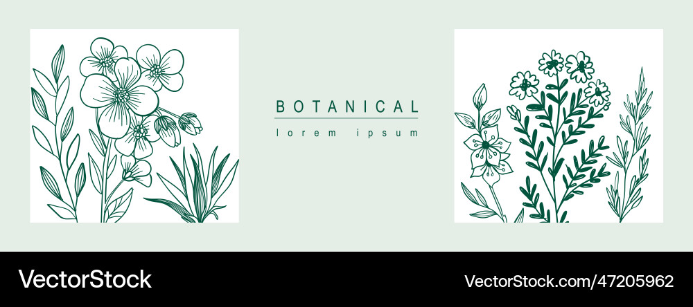 Botanical abstract background with floral line art