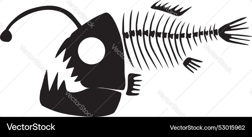 Decayed sea fish angler dried skeleton bones Vector Image