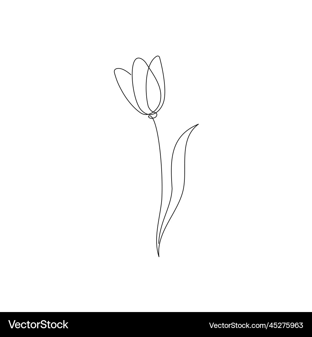Line tulip flower art one continuous Royalty Free Vector