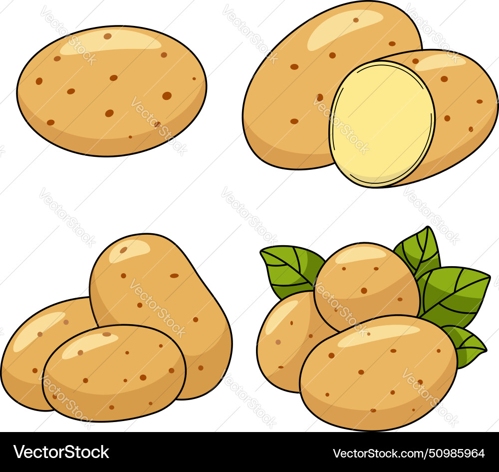 Potato vegetable outline Royalty Free Vector Image