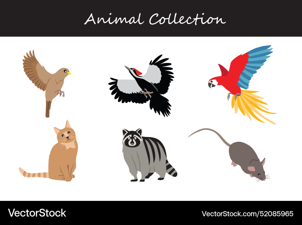 Zoo Animals Outline Vector Images (over 43,000)