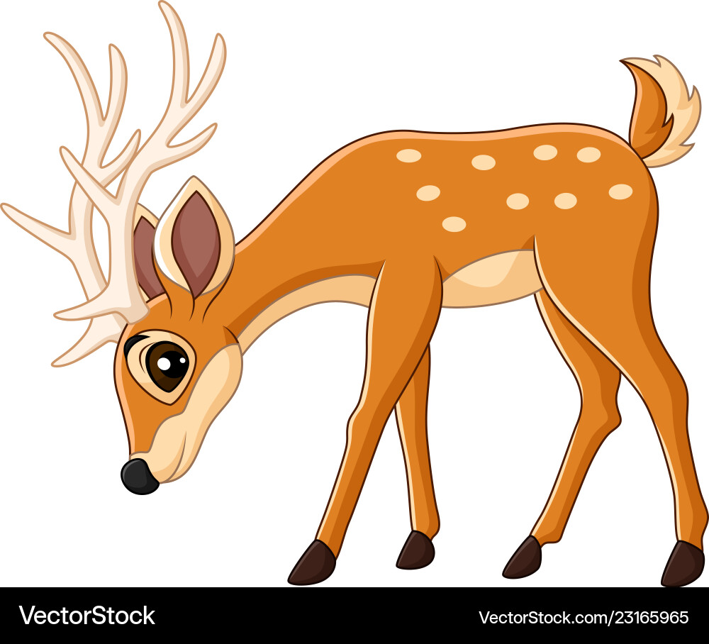 Cute deer cartoon Royalty Free Vector Image - VectorStock