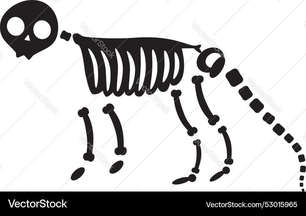 Decayed curious fox dried skeleton bones Vector Image