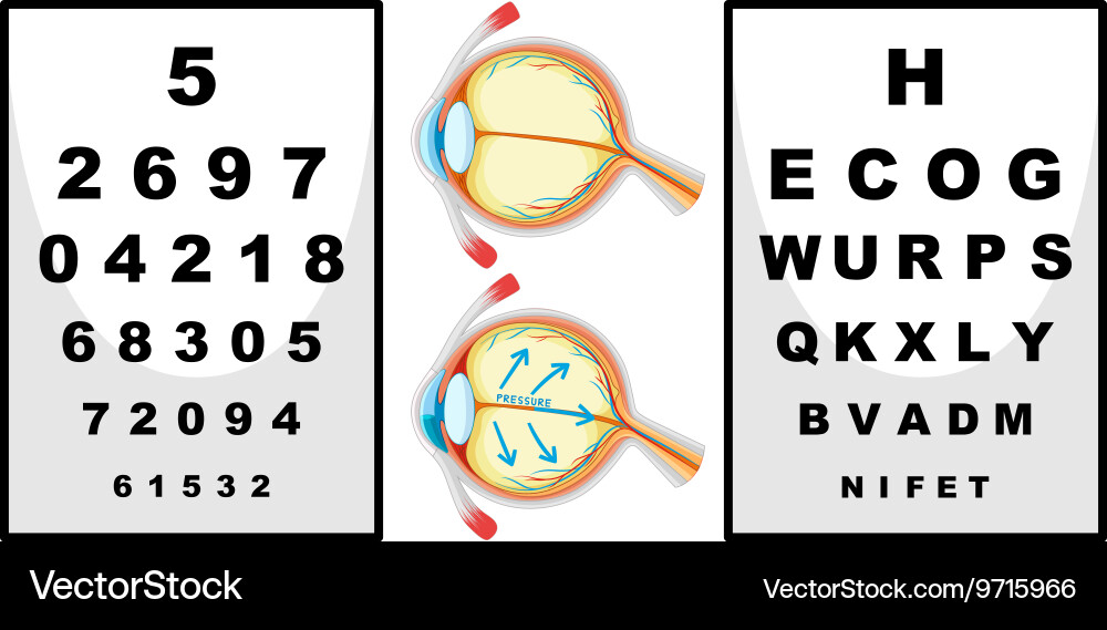 Human eyes and checking boards Royalty Free Vector Image