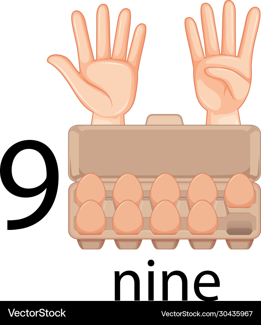 Counting number nine with eggs in carton Vector Image