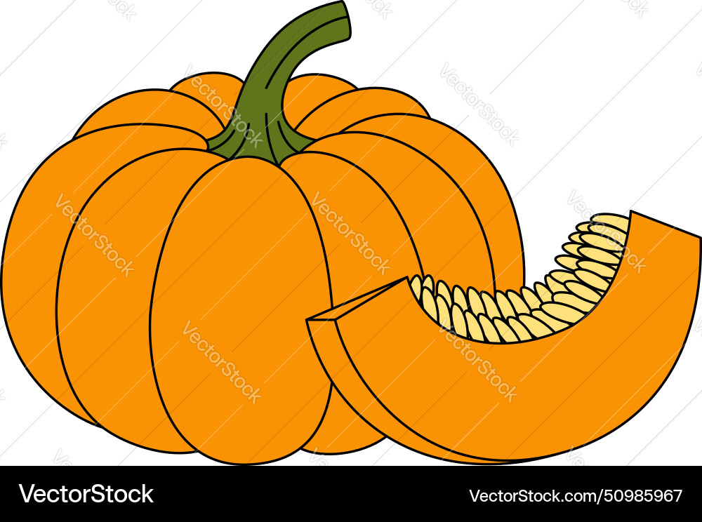 Pumpkin outline isolated on white background Vector Image