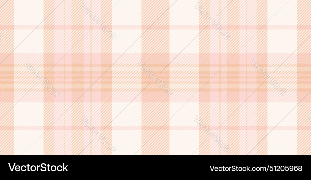 Contemporary check background texture graceful Vector Image