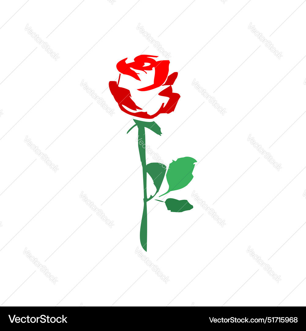 Rose flower with green leaves Royalty Free Vector Image