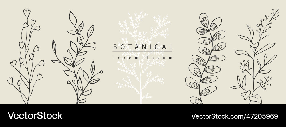 Botanical abstract background with floral line art