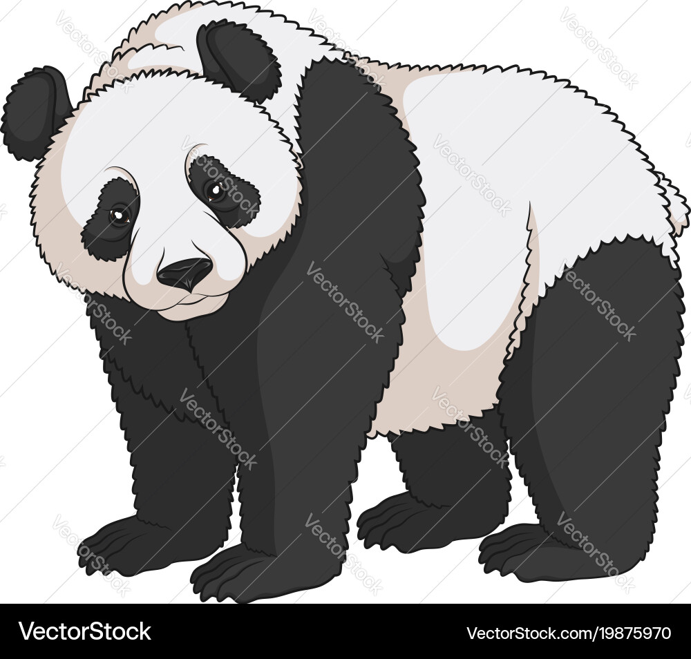 Color image of a panda isolated object Royalty Free Vector
