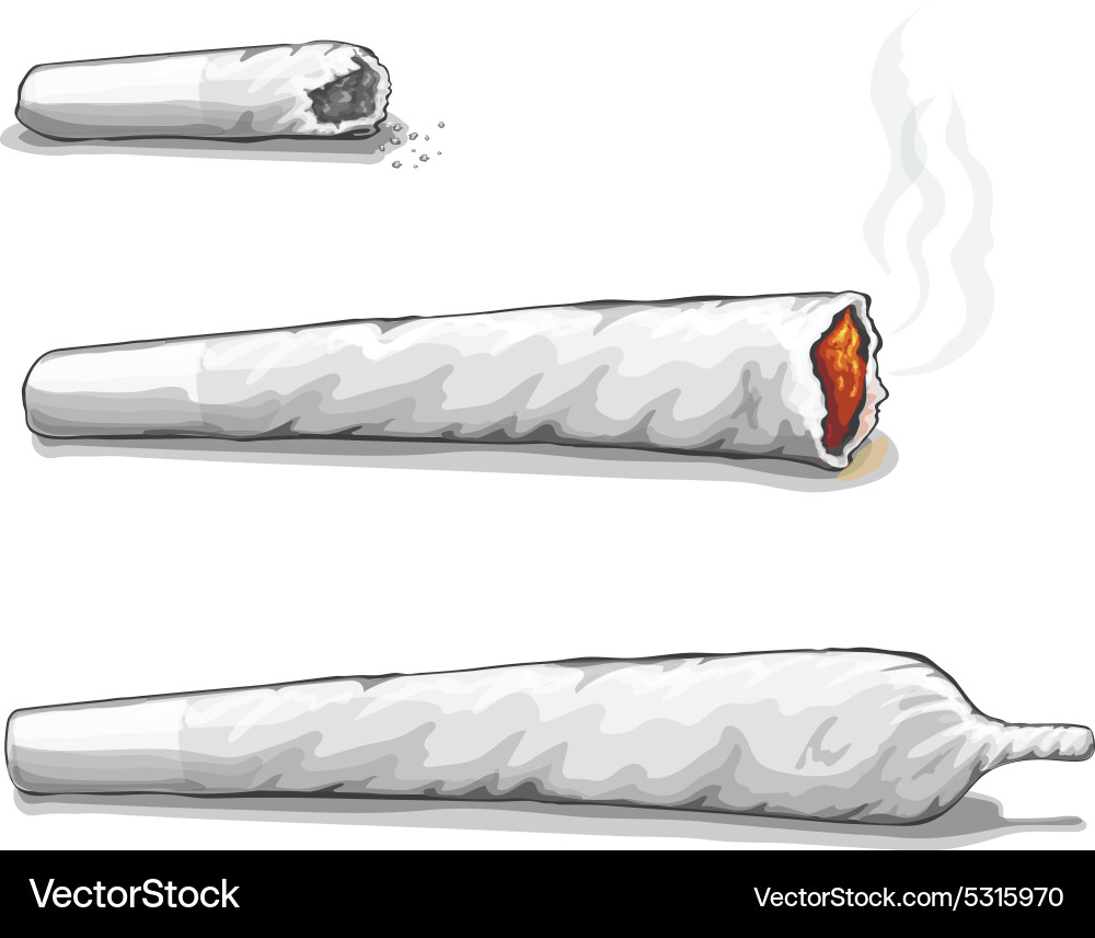 Joint or spliff drug consumption marijuana Vector Image