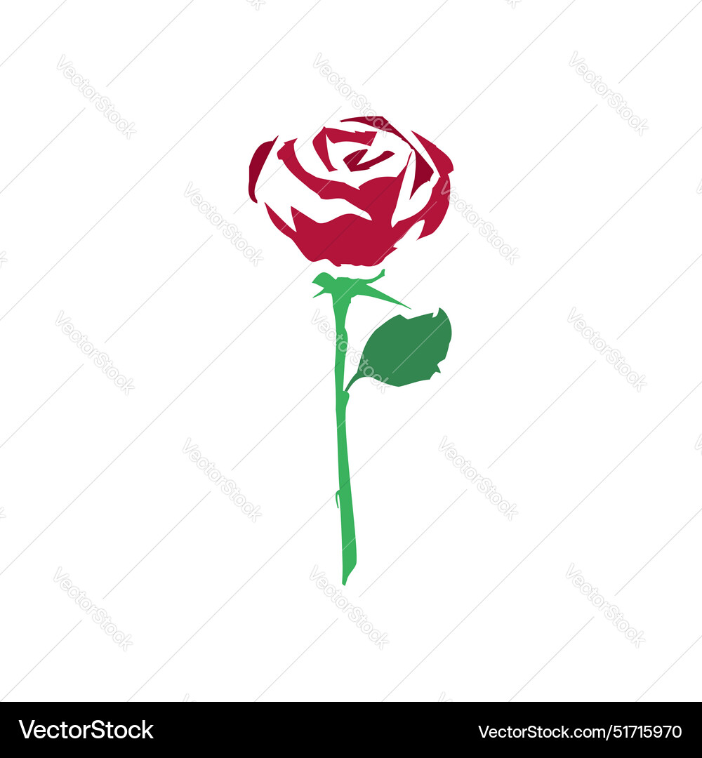 Rose flower with green leaves Royalty Free Vector Image