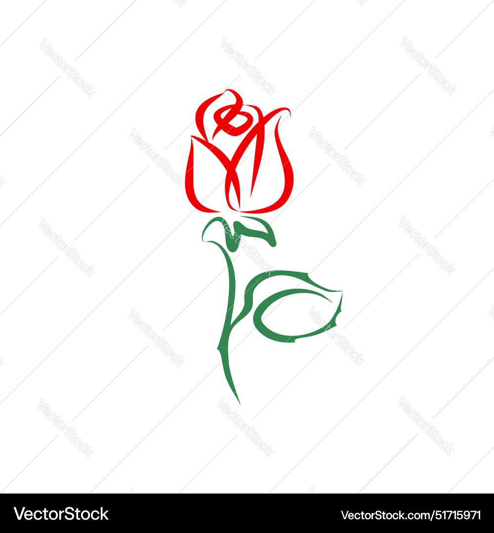 Rose flower with green leaves Royalty Free Vector Image