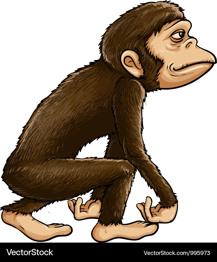 Ape Royalty Free Vector Image - VectorStock