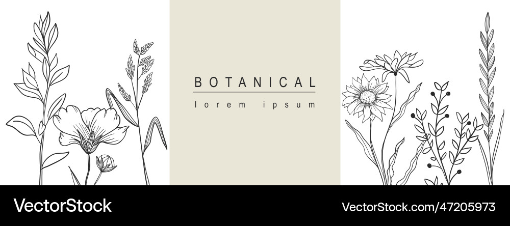 Botanical abstract background with floral line art