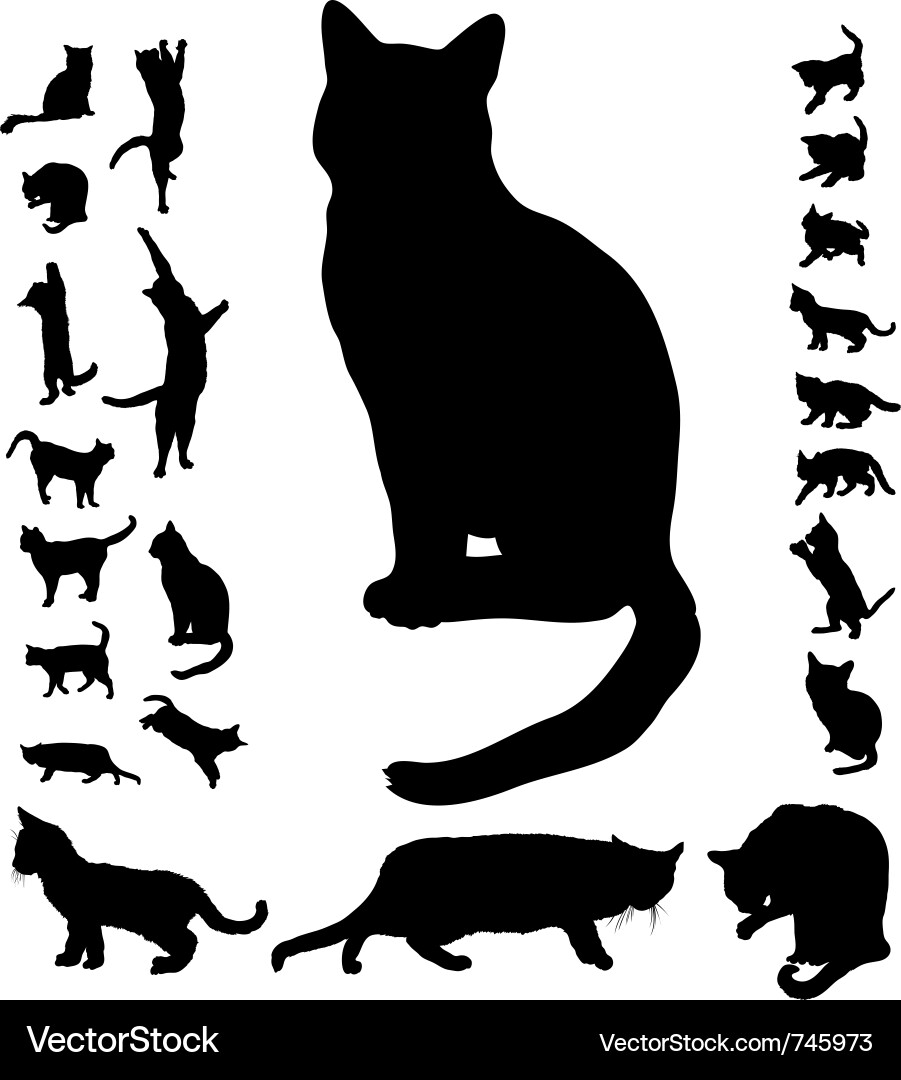 Cat Vector Images (over 410,000)
