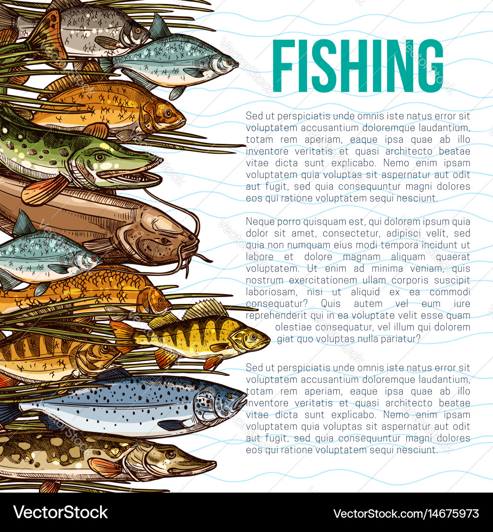 Sea Fish & Seafood Poster Royalty Free Vector Image