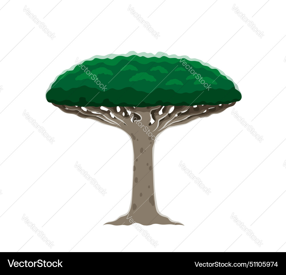 Cartoon jungle rainforest tree lush forest plant Vector Image