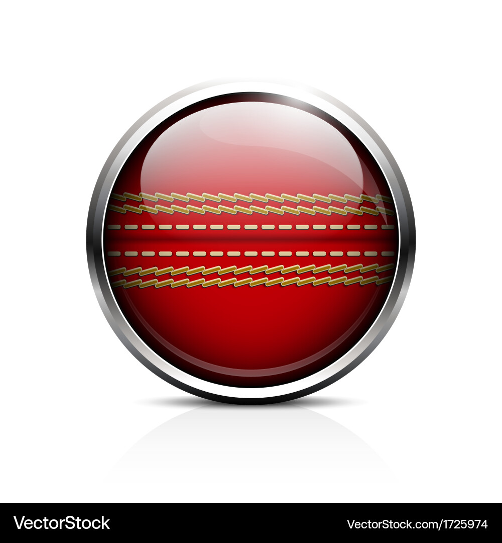 Cricket ball icon Royalty Free Vector Image - VectorStock