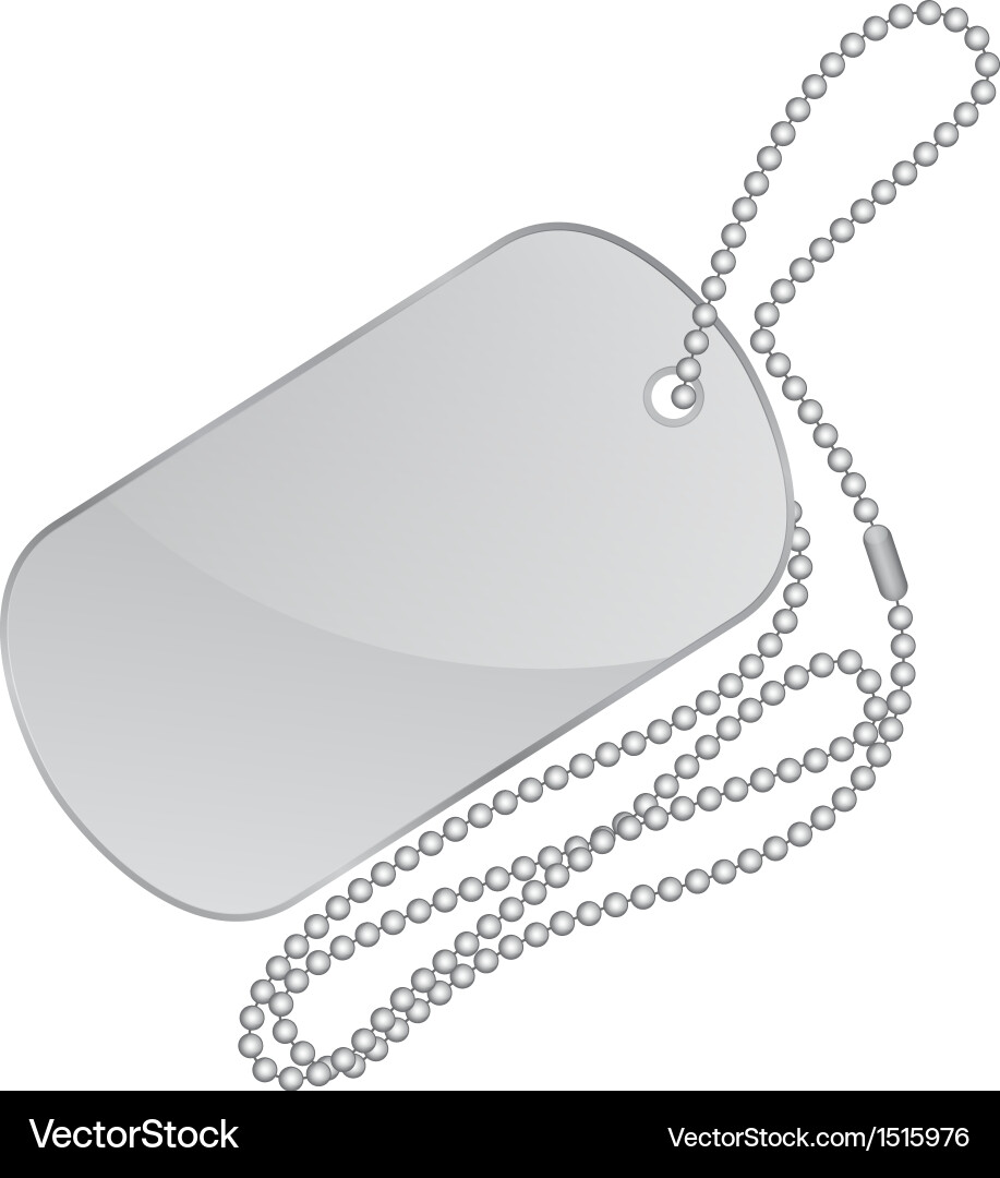 Silver Metal Identity Tag Royalty Free Vector Image