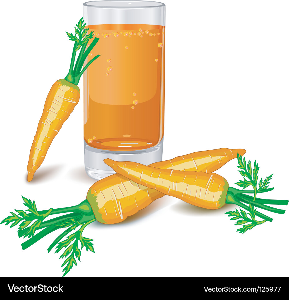 Carrots juice Royalty Free Vector Image - VectorStock