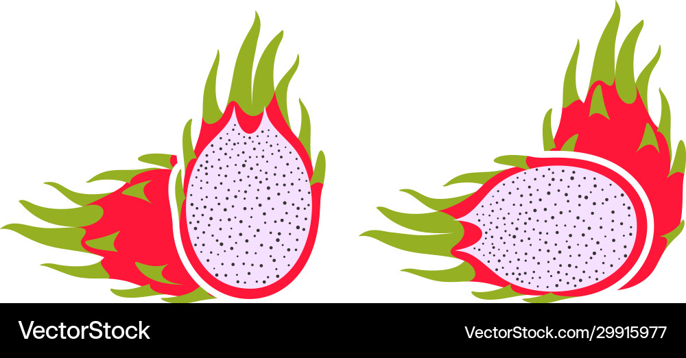 Dragon fruit Royalty Free Vector Image - VectorStock