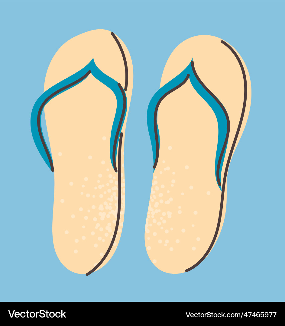 Flip flops summer element Royalty Free Vector Image