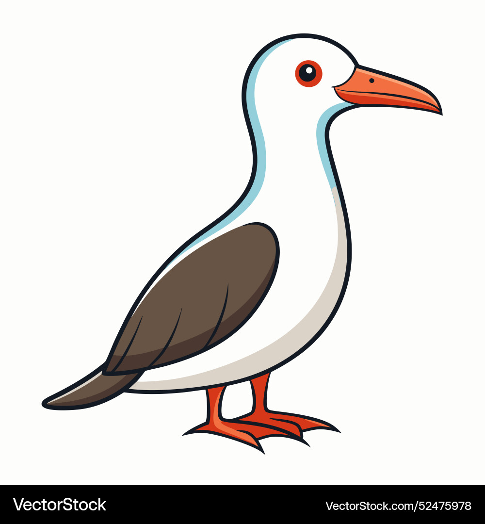 Galapagos lava gull bird sits kawaii Royalty Free Vector