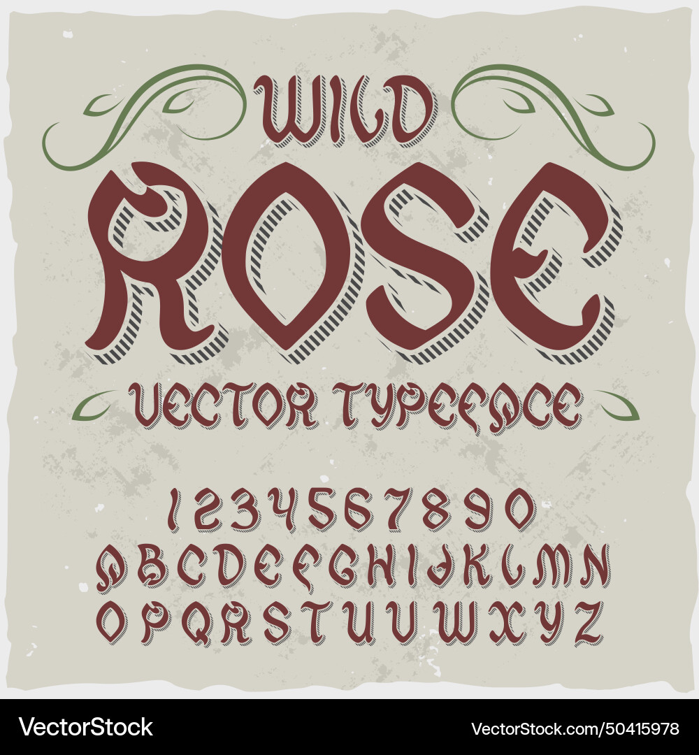 Good handcrafted font for any label design Vector Image